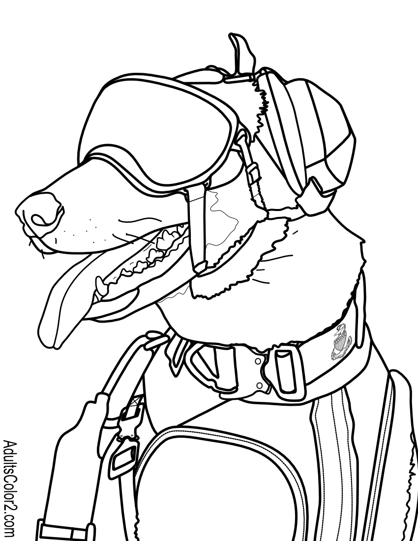 Military Dog Coloring Pages Jack Army Bluey Dog Outline SVG, Bluey