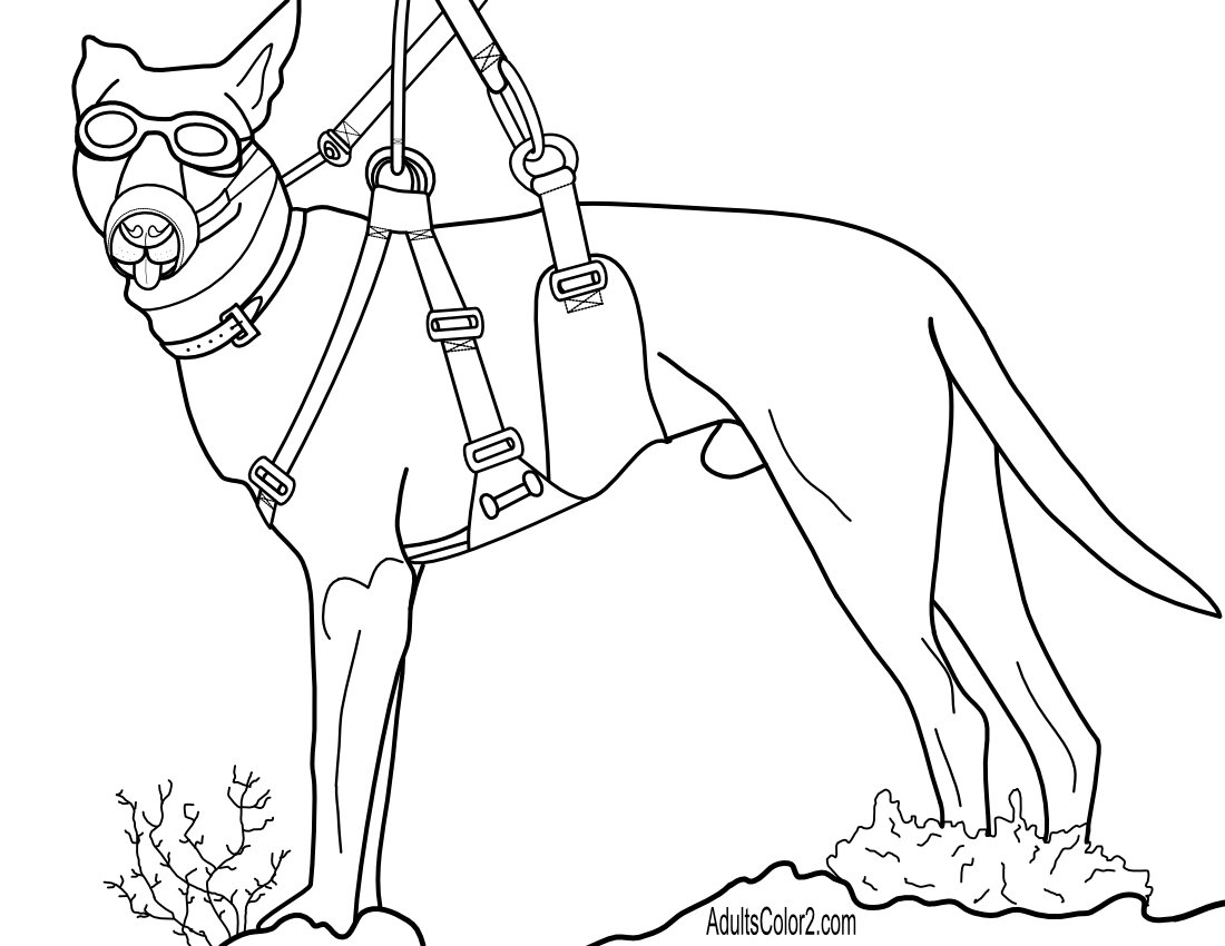 Military Dog Coloring Pages Jack Army Bluey Dog Outline SVG, Bluey
